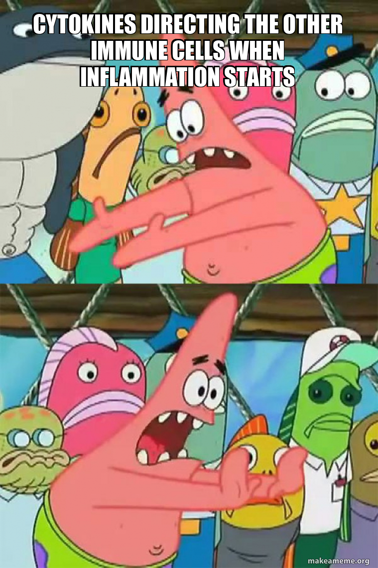 Cytokines directing the other immune cells when inflammation starts ...