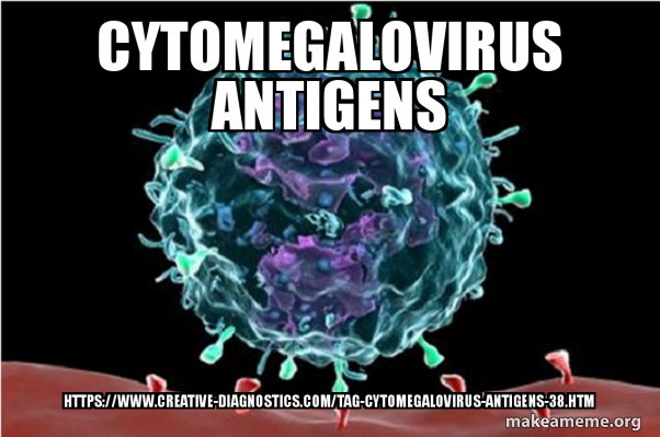 Cytomegalovirus Antigens https://www.creative-diagnostics.com/tag ...