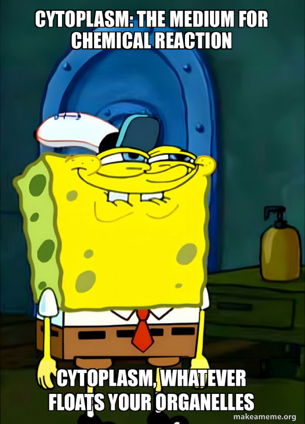 cytoplasm: The medium for chemical reaction cytoplasm, whatever floats ...