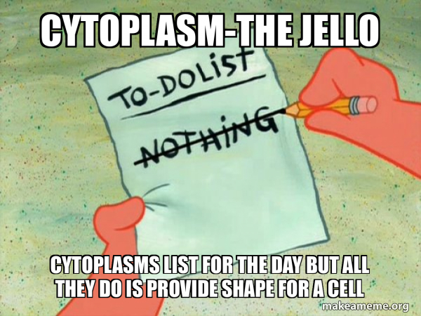 Cytoplasm-The Jello cytoplasms list for the day but all they do is ...