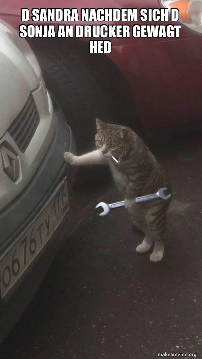 D Sandra nachdem sich d Sonja an Drucker gewagt hed - Mechanic Cat Meme ...
