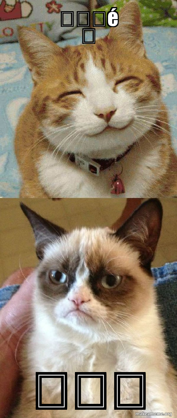 来杯啤酒 尿做的 - Grumpy Cat vs Happy Cat Meme Generator