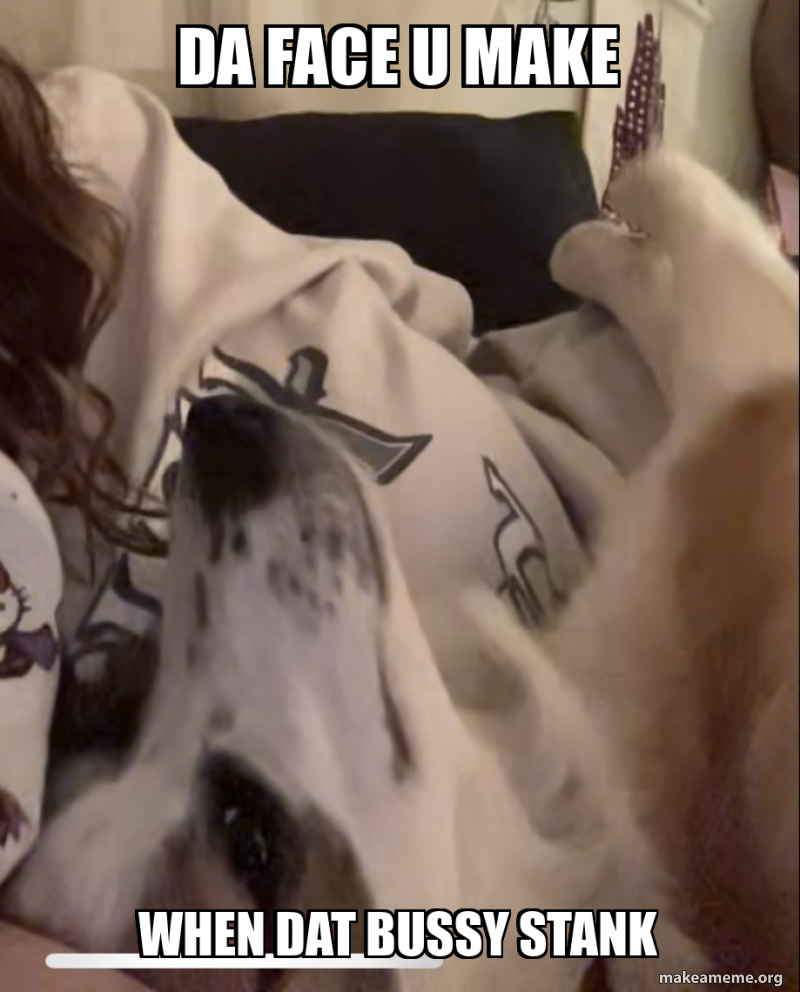 Da face u make when dat bussy stank Meme Generator