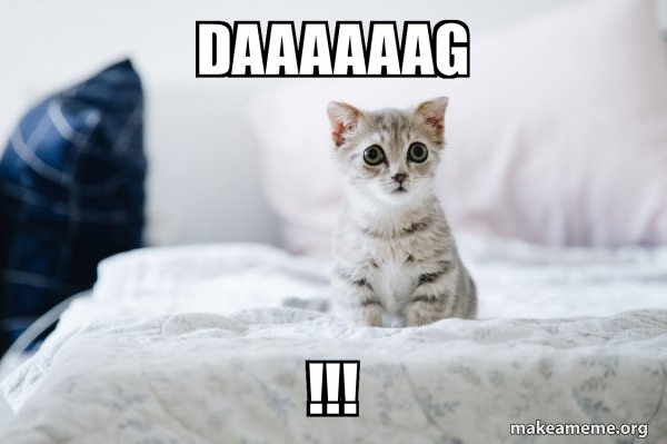 daaaaaag !!! - Cute Kitten Meme Generator
