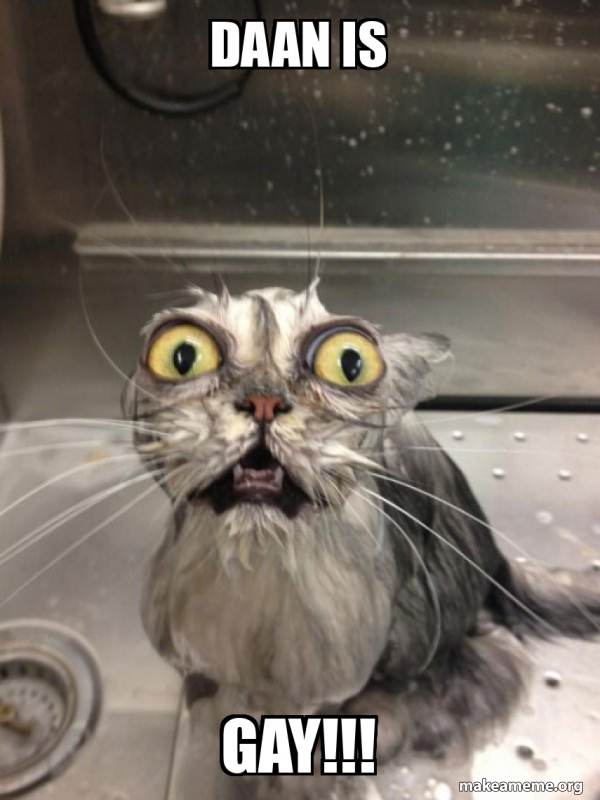Daan is GAY!!! - Cat bath Meme Generator