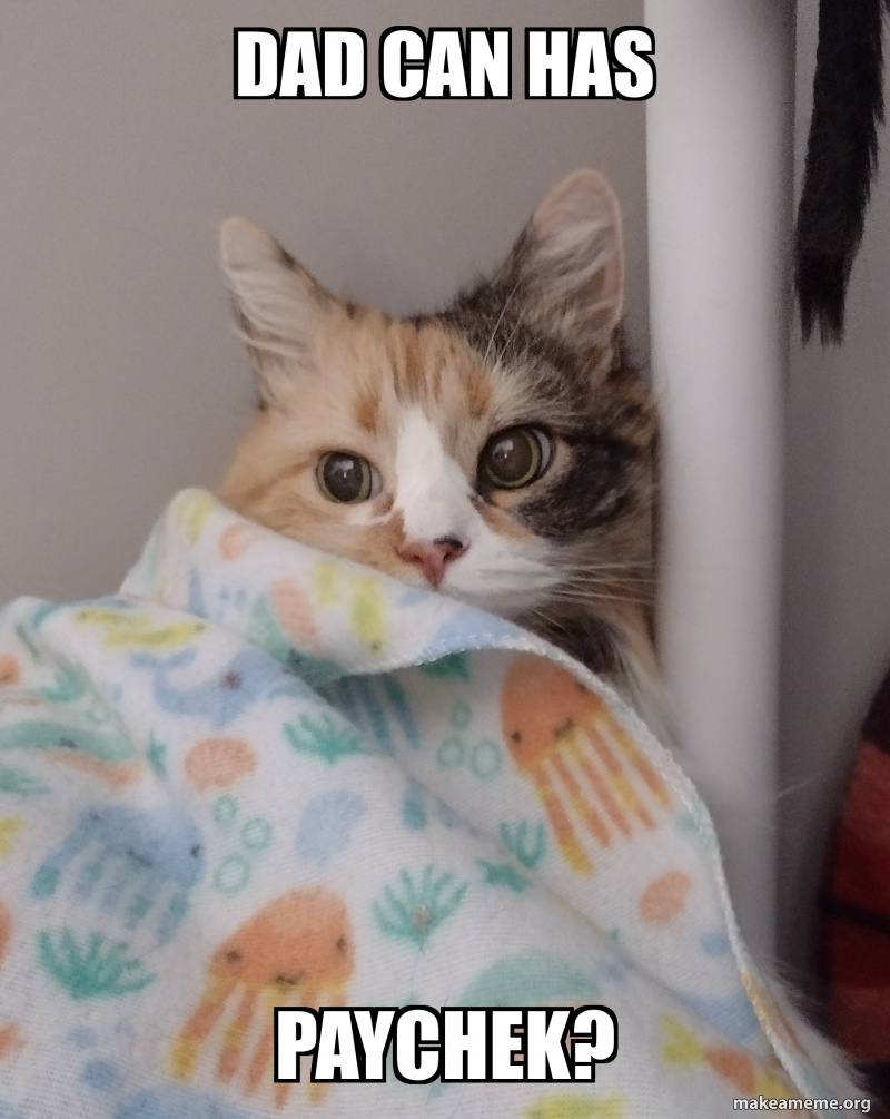 DAD CAN HAS PAYCHEK? Meme Generator