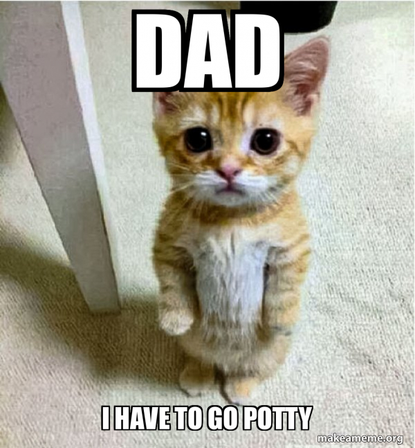 Dad i have to go potty - Cute Cat Standing Meme Generator