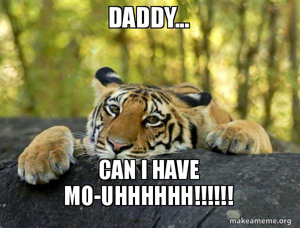 Tiger Dad Memes