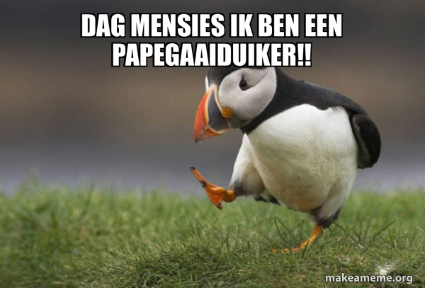 Dag mensies ik ben een papegaaiduiker!! - Unpopular Opinion Puffin Meme ...