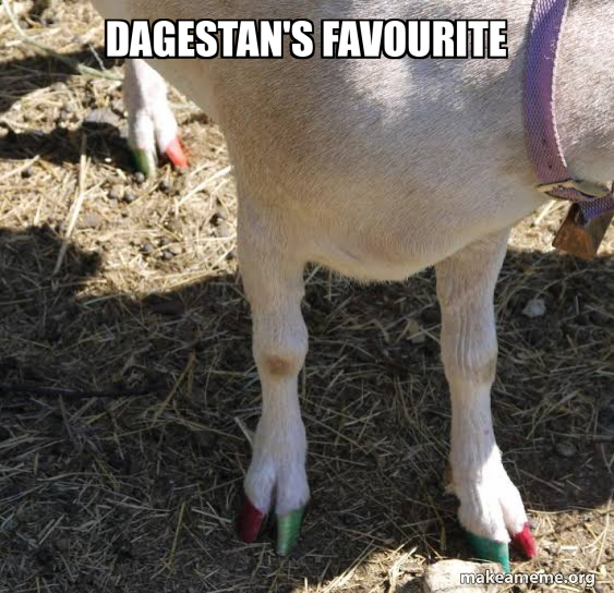 Dagestan's favourite Meme Generator