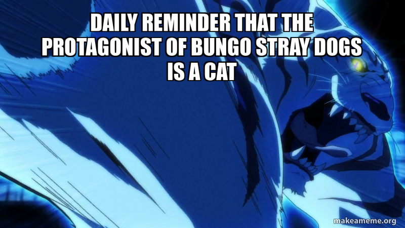 Daily reminder that the protagonist of Bungo Stray Dogs is a cat Meme ...