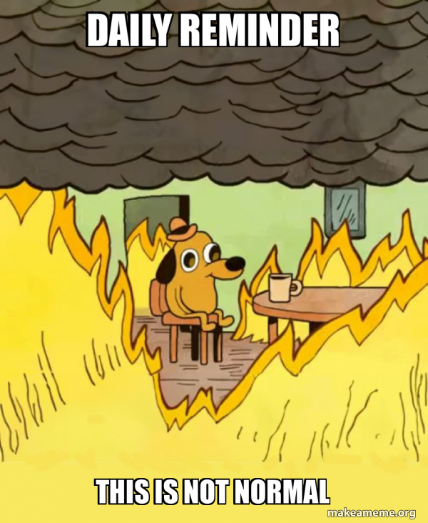 Daily Reminder THIS IS NOT NORMAL - This Is Fine Meme Generator