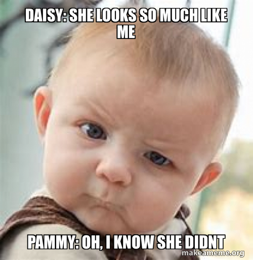 Daisy: she looks so much like me Pammy: OH, I know she didnt Meme Generator
