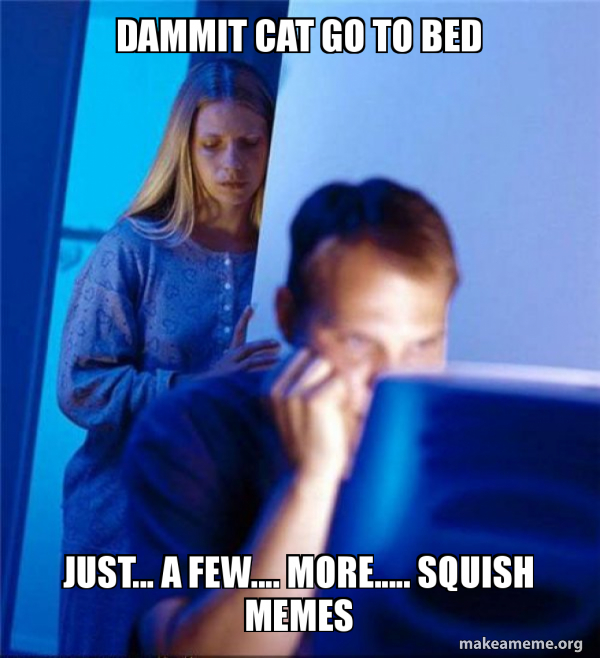 Dammit Cat go to bed Just... a few.... more..... squish memes ...