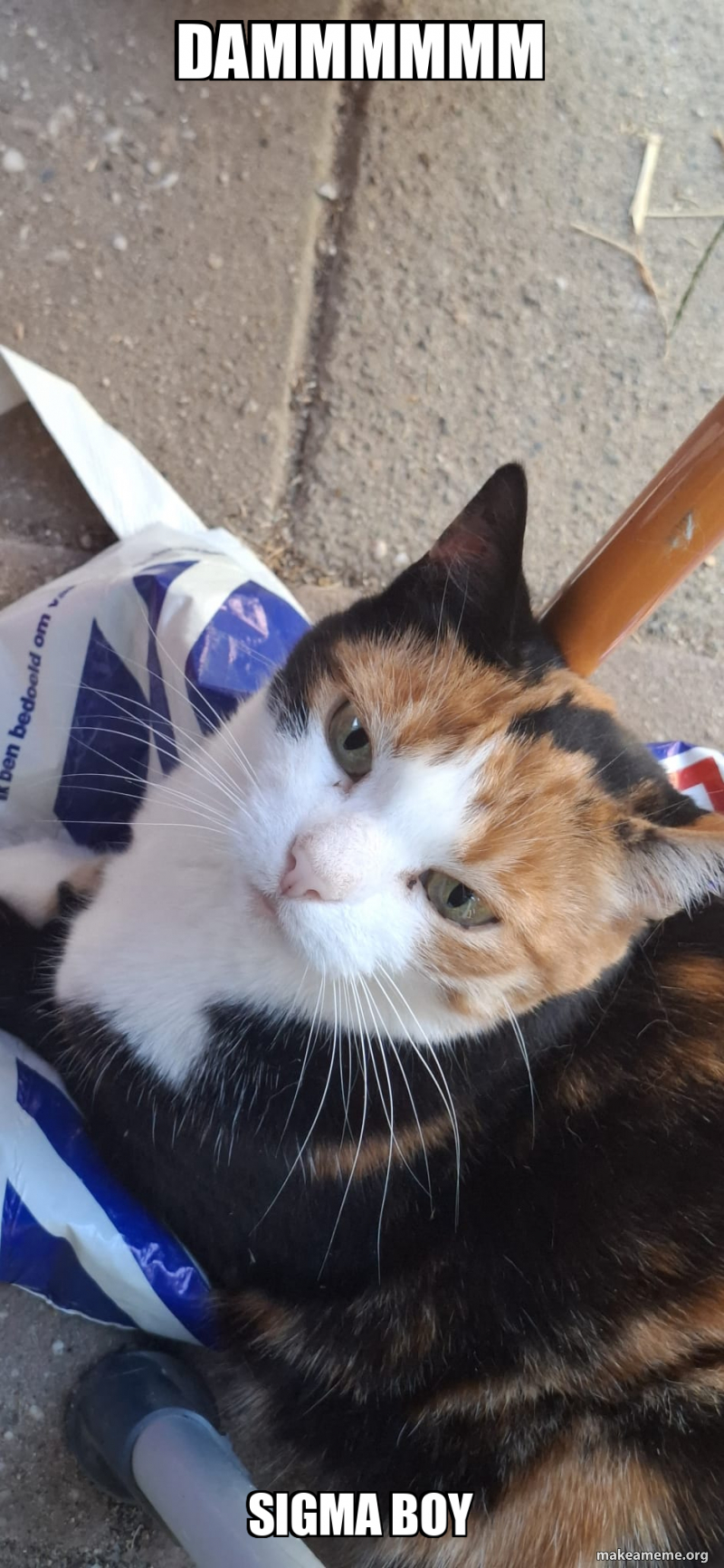 Dammmmmm Sigma boy Meme Generator