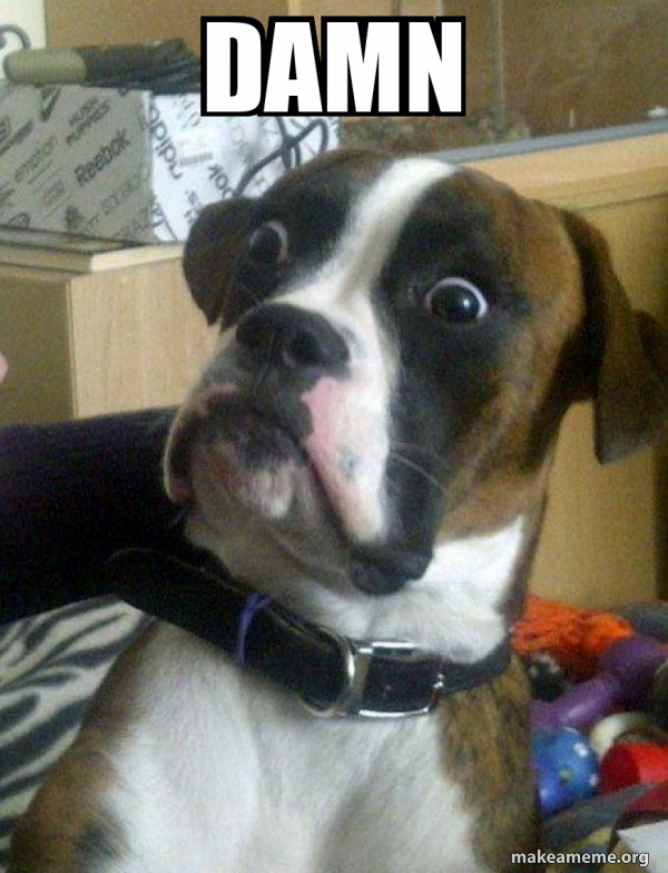 Damn - Skeptical Dog Meme Generator