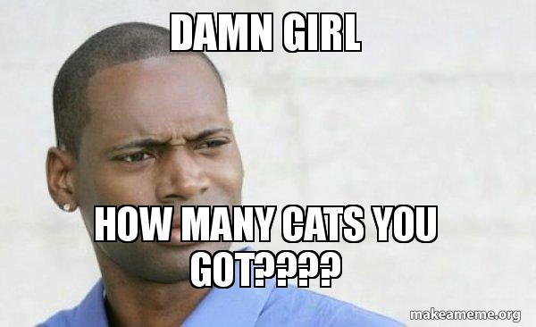 Meme Della Ragazza Dayum The Drowning Girl: Kiernan, Caitlin R.: