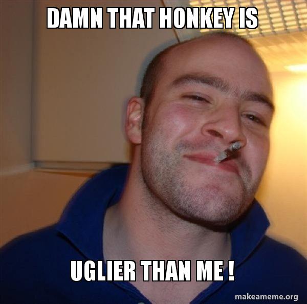 Damn that Honkey is uglier than me ! - Good Guy Greg Meme Generator