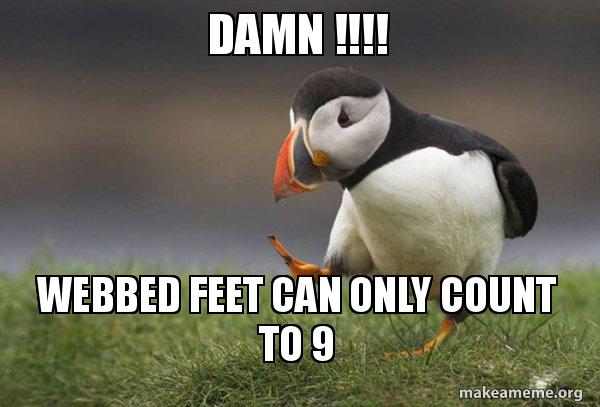 Webbed Feet Memes