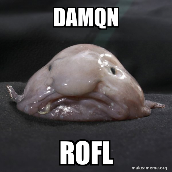 damqn rofl - Blobfish Meme Generator