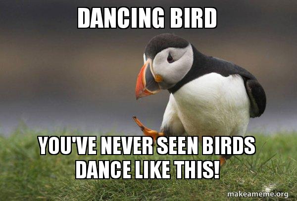 Dancing Bird Memes Cute Bird Clipart, Watercolor Birds, Silly Birds,