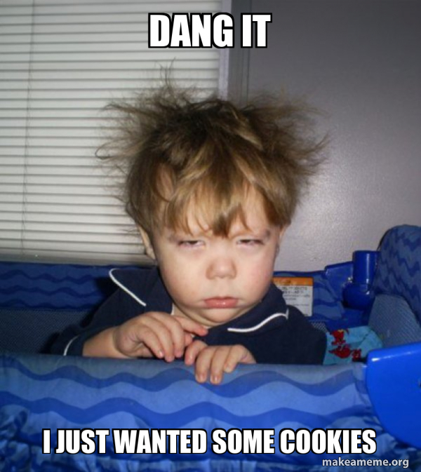 Dang it I just wanted some cookies - Monday Mornings Meme Generator