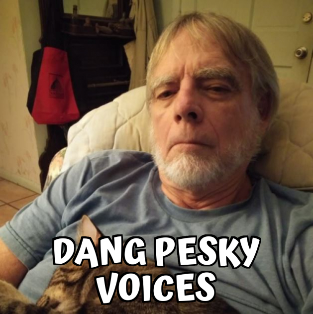 Dang pesky voices Meme Generator