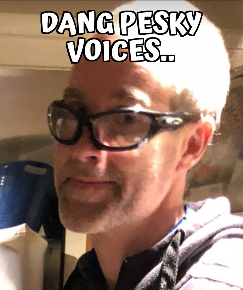 Dang pesky voices.. Meme Generator