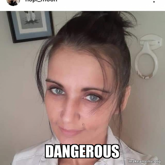 dangerous Meme Generator