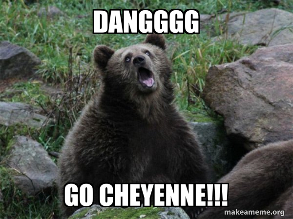 DANGGGG GO CHEYENNE!!! - Sarcastic Bear Meme Generator