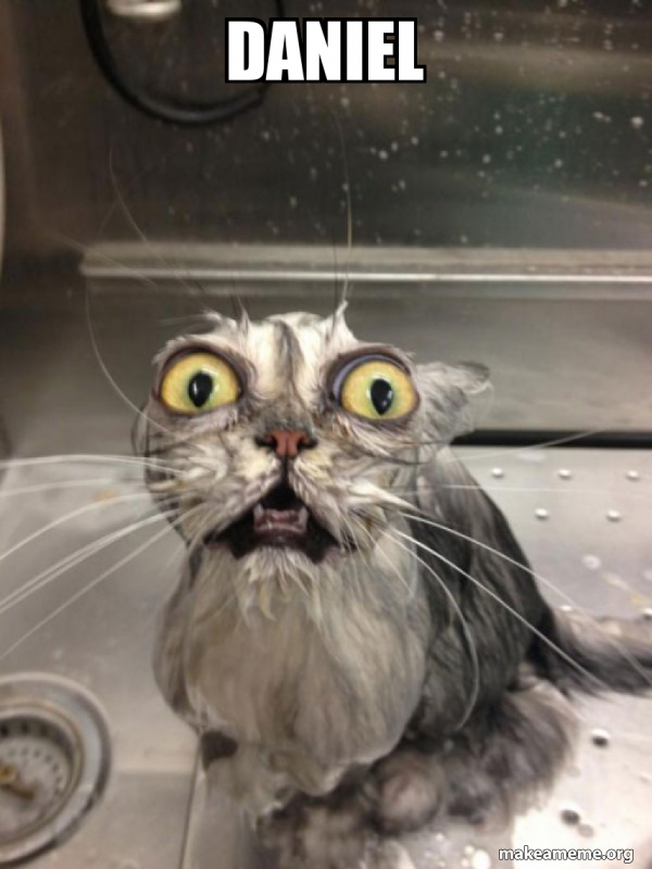 daniel - Cat bath Meme Generator