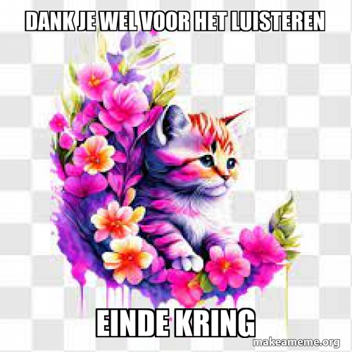 Dank je wel voor het luisteren Einde kring Meme Generator