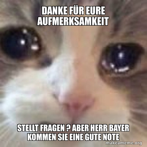 danke für eure aufmerksamkeit stellt fragen ? aber herr bayer kommen ...