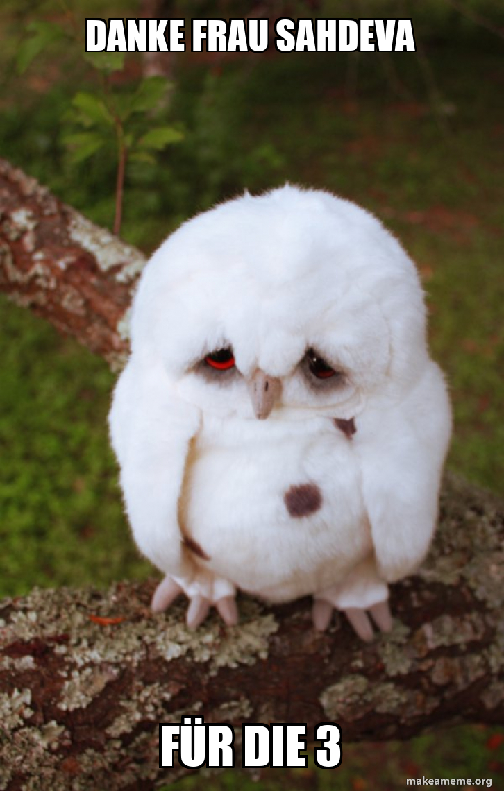 Danke Frau sahdeva Für die 3 - Sad Owl Meme Generator
