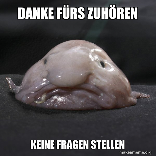 Danke Fürs zuhören keine fragen stellen - Blobfish Meme Generator