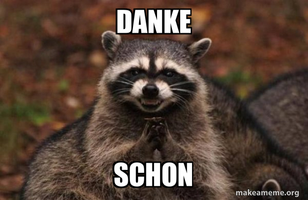 danke schon - Evil Plotting Raccoon Meme Generator