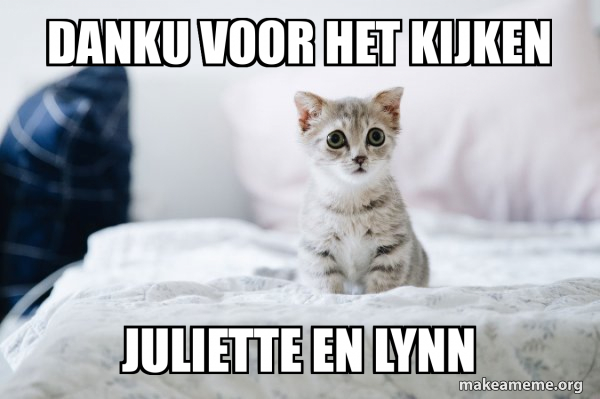 danku voor het kijken juliette en lynn - Cute Kitten Meme Generator