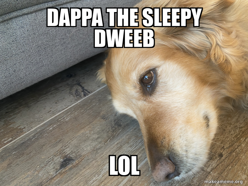 Dappa the sleepy dweeb Lol Meme Generator