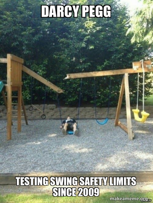 Darcy pegg Testing swing safety limits since 2009 Meme Generator