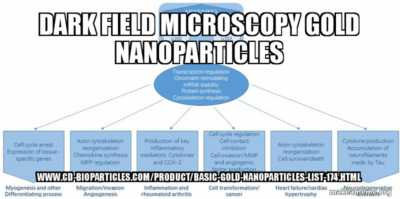 dark field microscopy gold nanoparticles www.cd-bioparticles.com ...