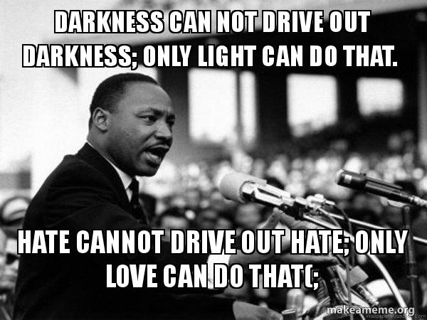 Darkness can not drive out darkness; only light can do that. Hate ...