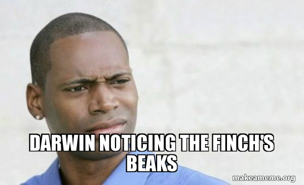 Darwin noticing the finch's beaks - Confused Black Man Meme Generator