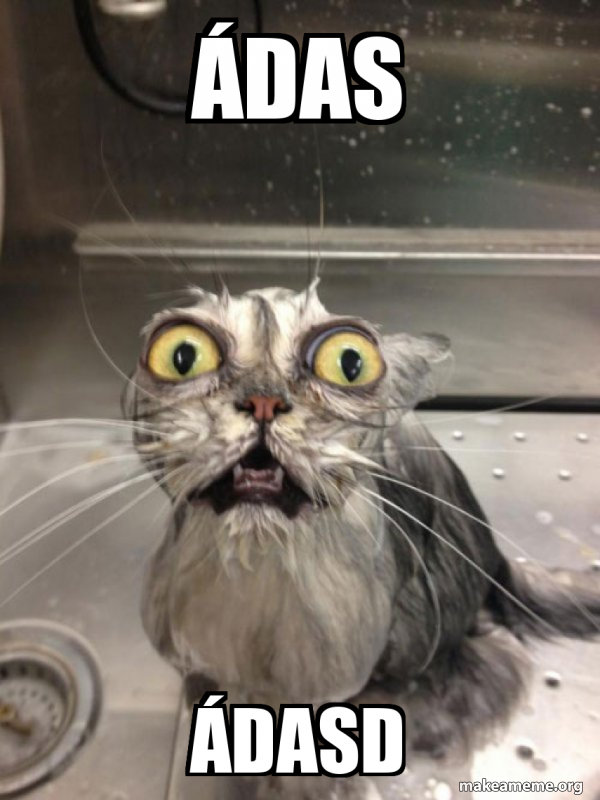 ádas ádasd - Cat bath Meme Generator
