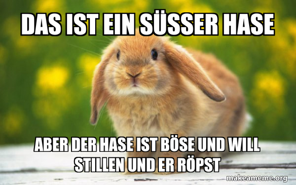 Das ist ein süßer Hase Aber der Hase ist böse und will Stillen und er ...