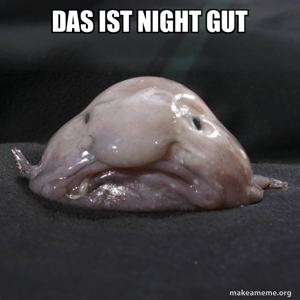 Das Ist night gut - Blobfish Meme Generator