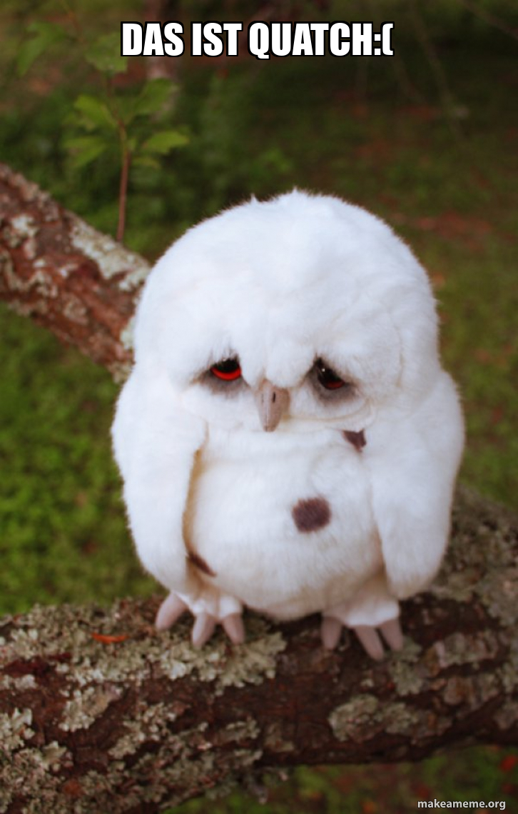das ist quatch:( - Sad Owl Meme Generator