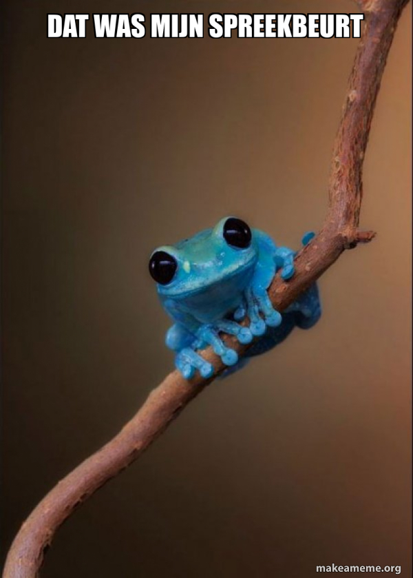 dat was mijn spreekbeurt - Small Fact Frog Meme Generator