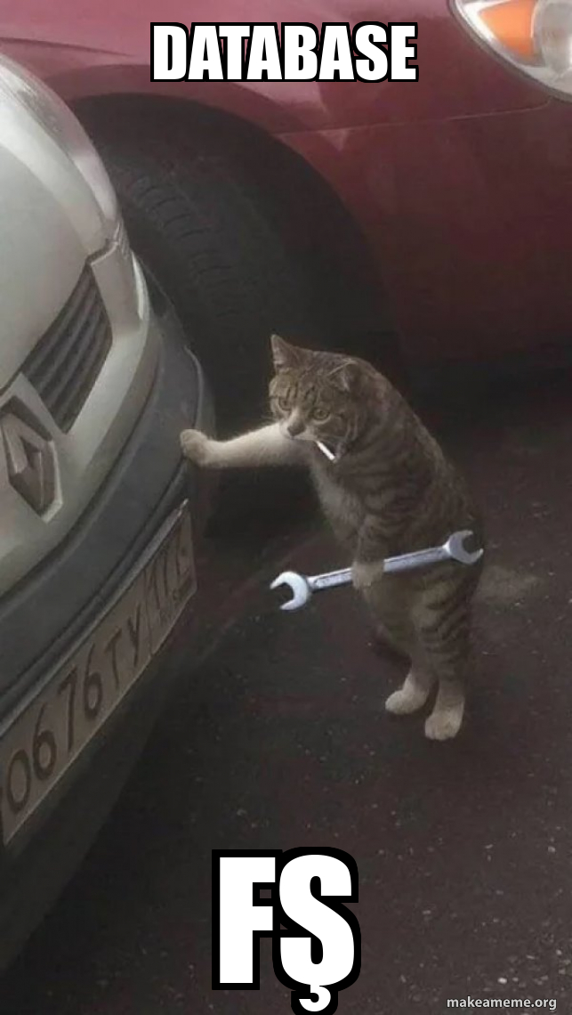 Database FŞ - Mechanic Cat Meme Generator