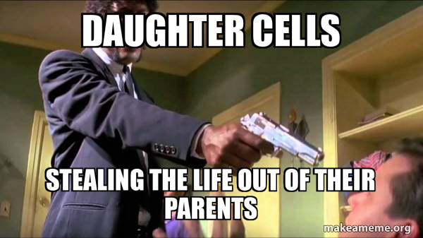 Daughter cells Stealing the life out of their parents - Samuel L ...