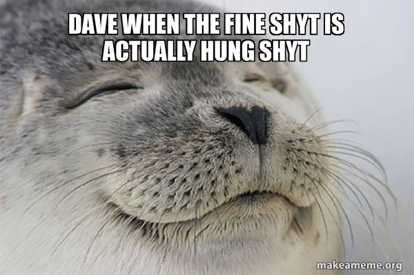 Dave when the fine shyt is actually hung shyt - Satisfied Seal Meme ...